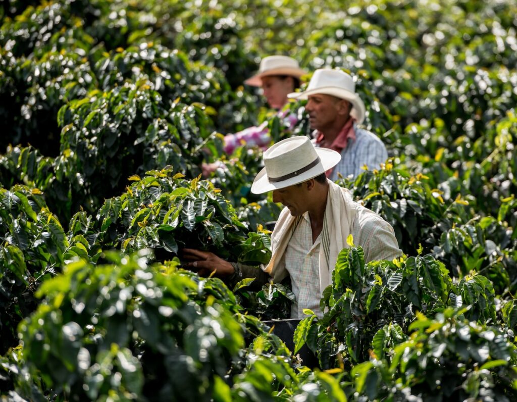 From Farm to Global Markets: How Financial Innovation is Lifting Up ...